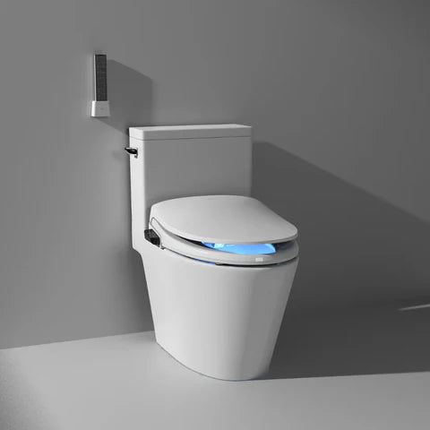 Handicap Bidet Toilet: A Comprehensive Guide to Enhanced Accessibility ...